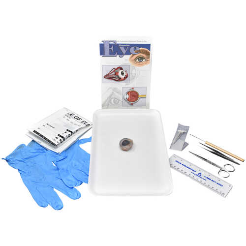 Mammalian Eye Specimen Ki... | PECO Sales
