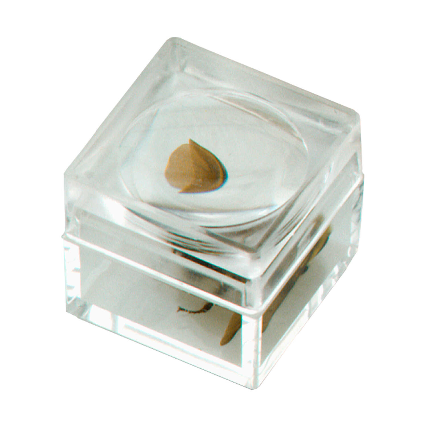 Bug Box, 1 x 1 x 7/8, 4... | PECO Sales