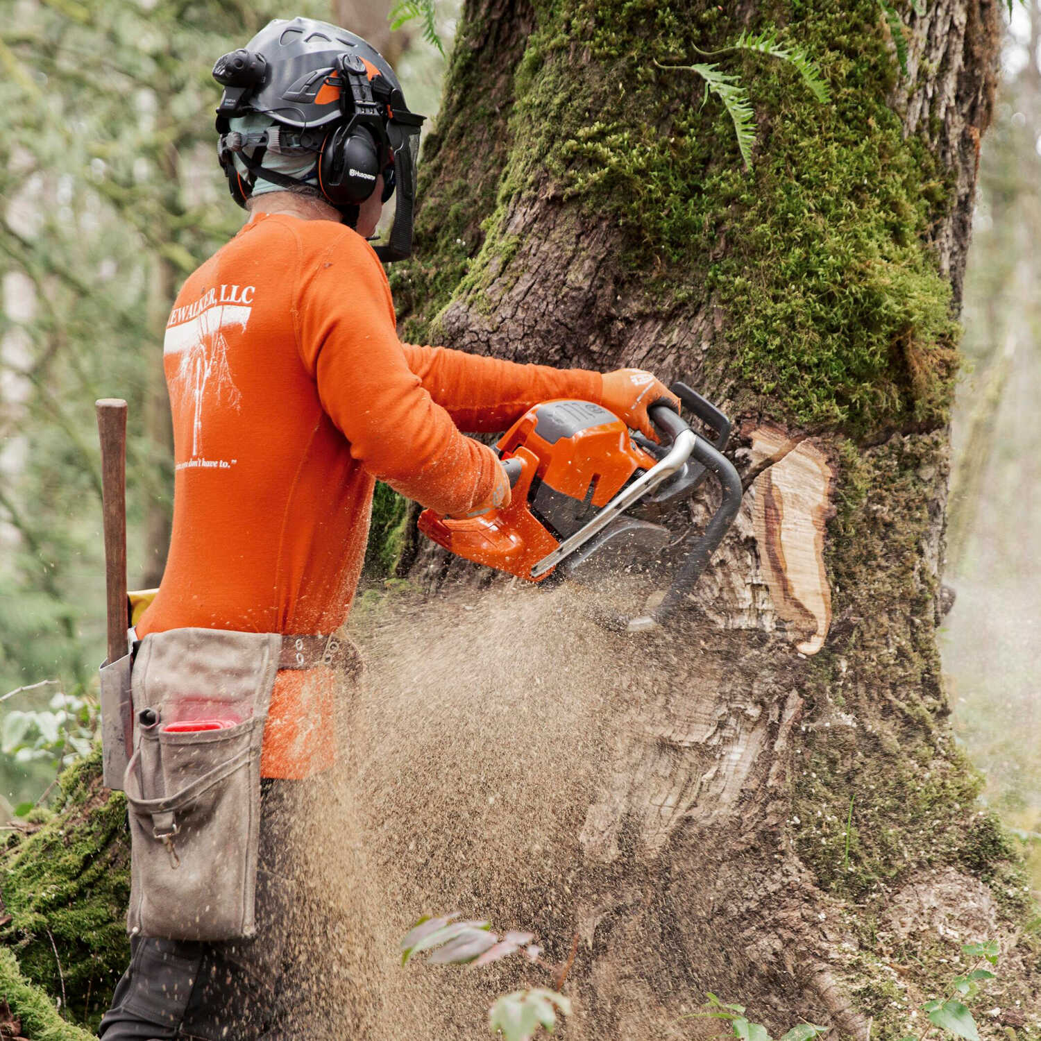Husqvarna 592 XP 36 Chainsaw | PECO Sales